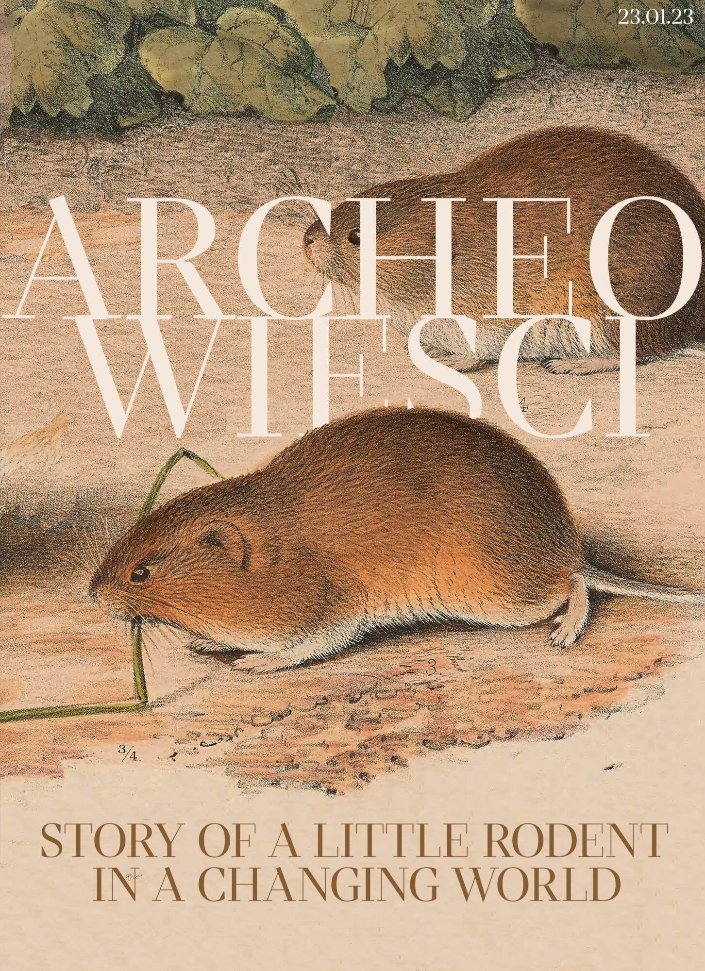 The story of a little rodent in a changing world