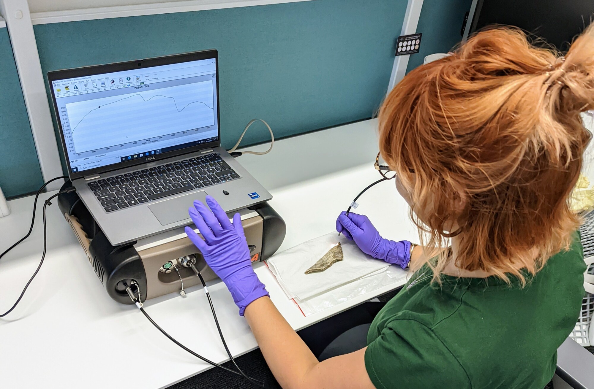 Archaeology of the invisible: how proteins and carbon isotopes help to ...